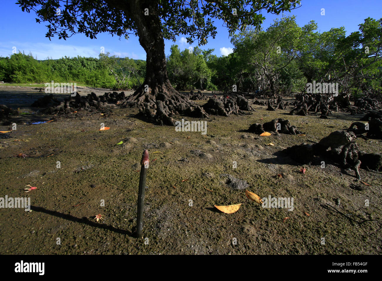 Hainan Province China Stock Photo - Alamy
