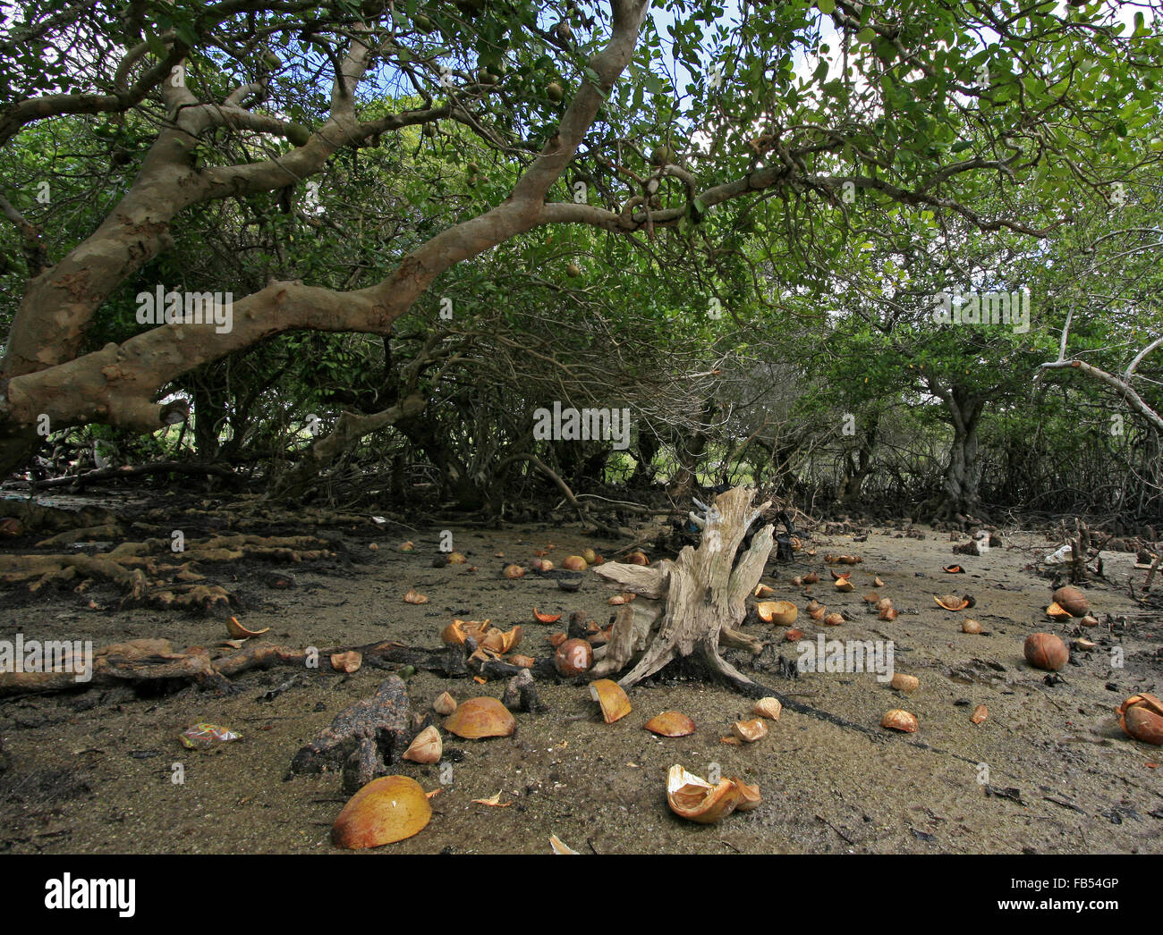 Hainan Province China Stock Photo - Alamy