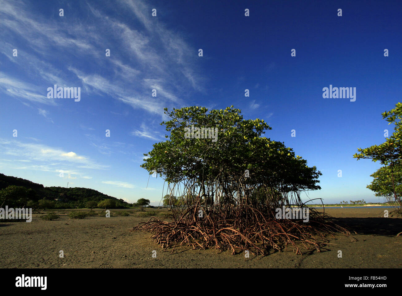 Hainan Province China Stock Photo - Alamy