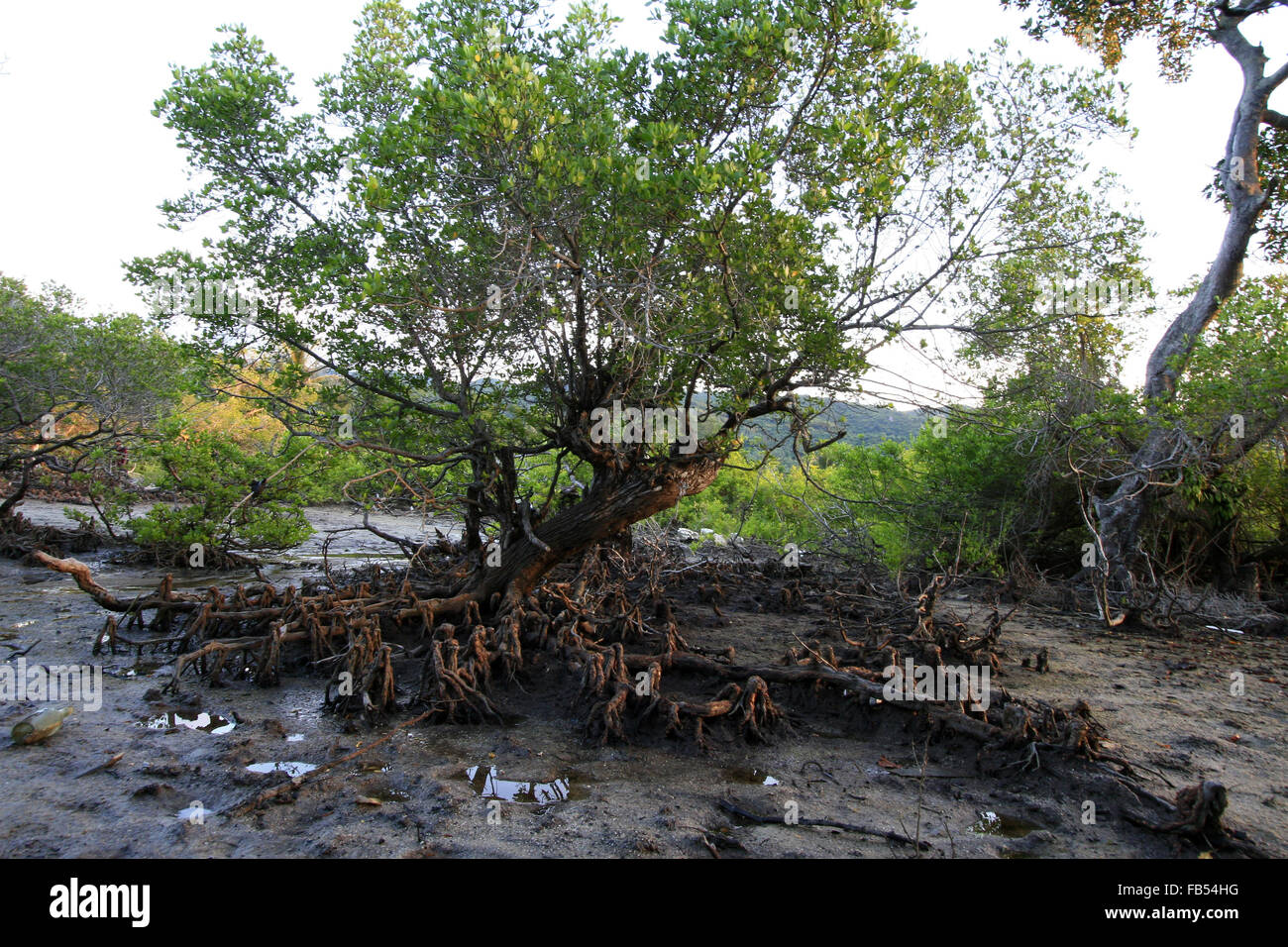 Hainan Province China Stock Photo - Alamy