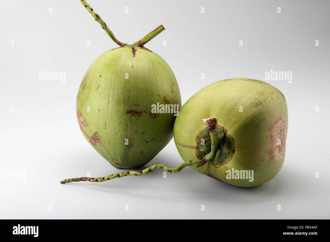 raw food fresh coconut from the tree Stock Photo - Alamy