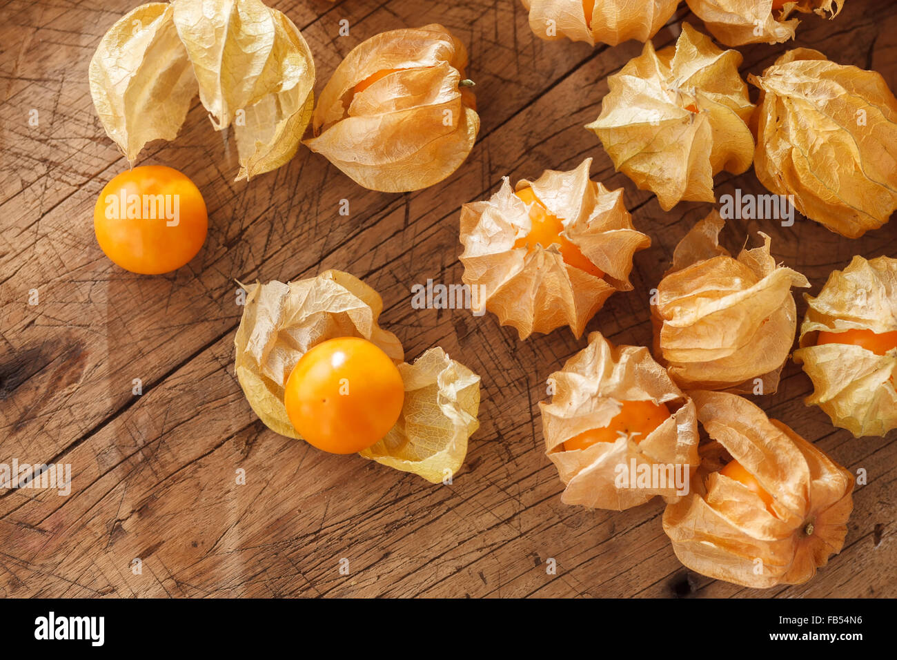 cape gooseberry physalis fruit ground cherry organic food vegetable ...