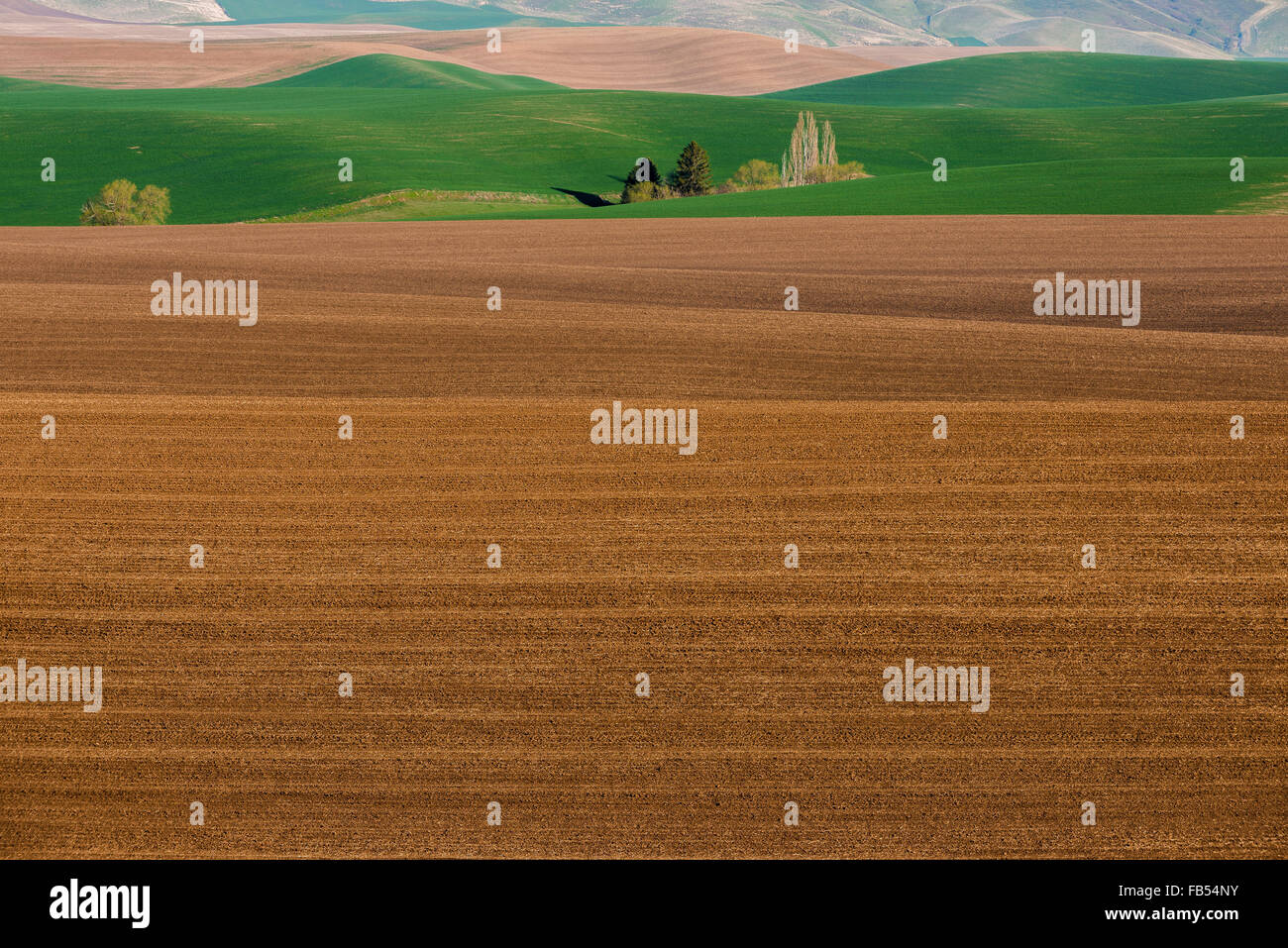 Tilled land hi-res stock photography and images - Alamy