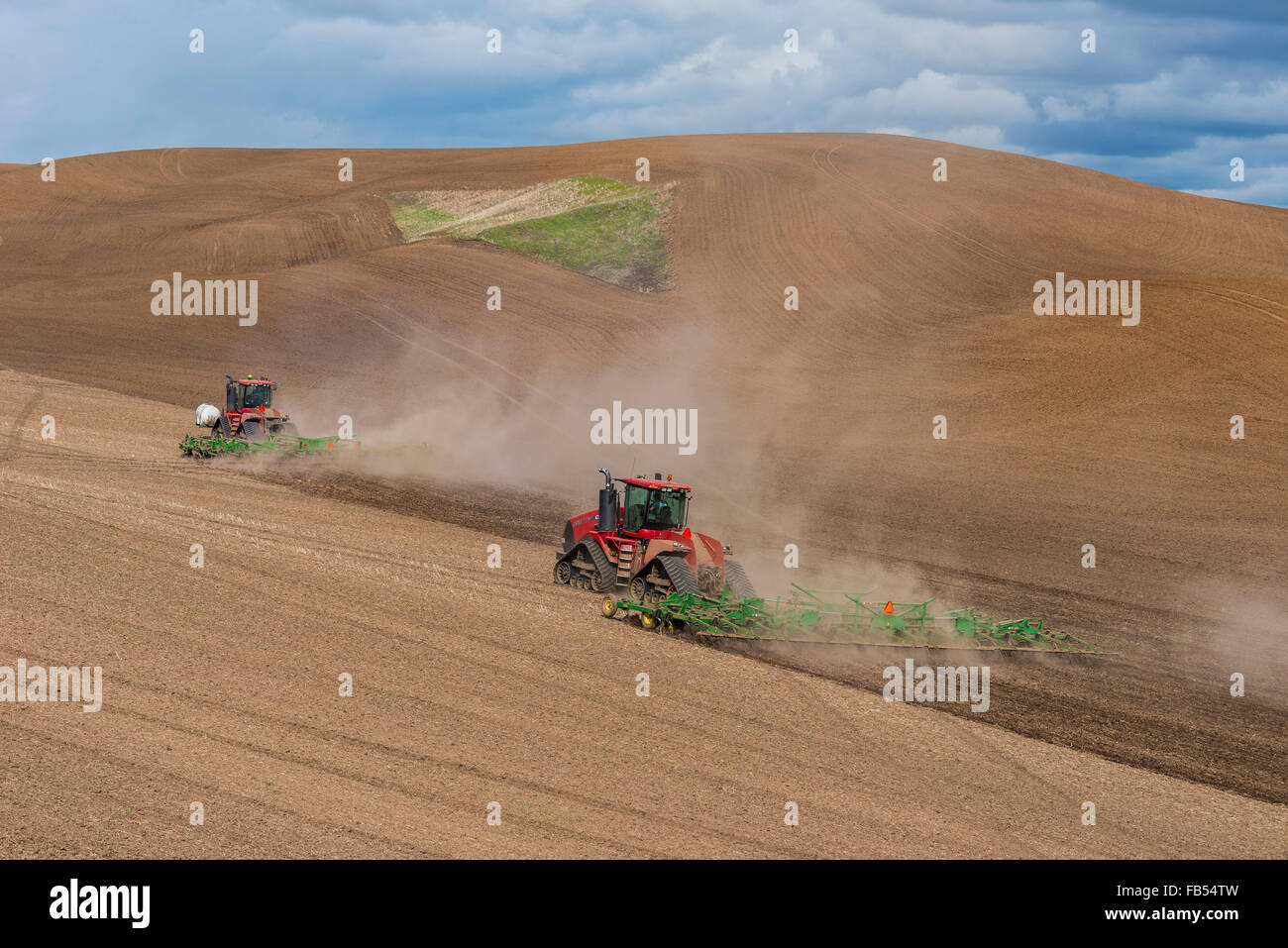 Case quadtrac tractor cultivating a garbanzo bean seedbed in the ...