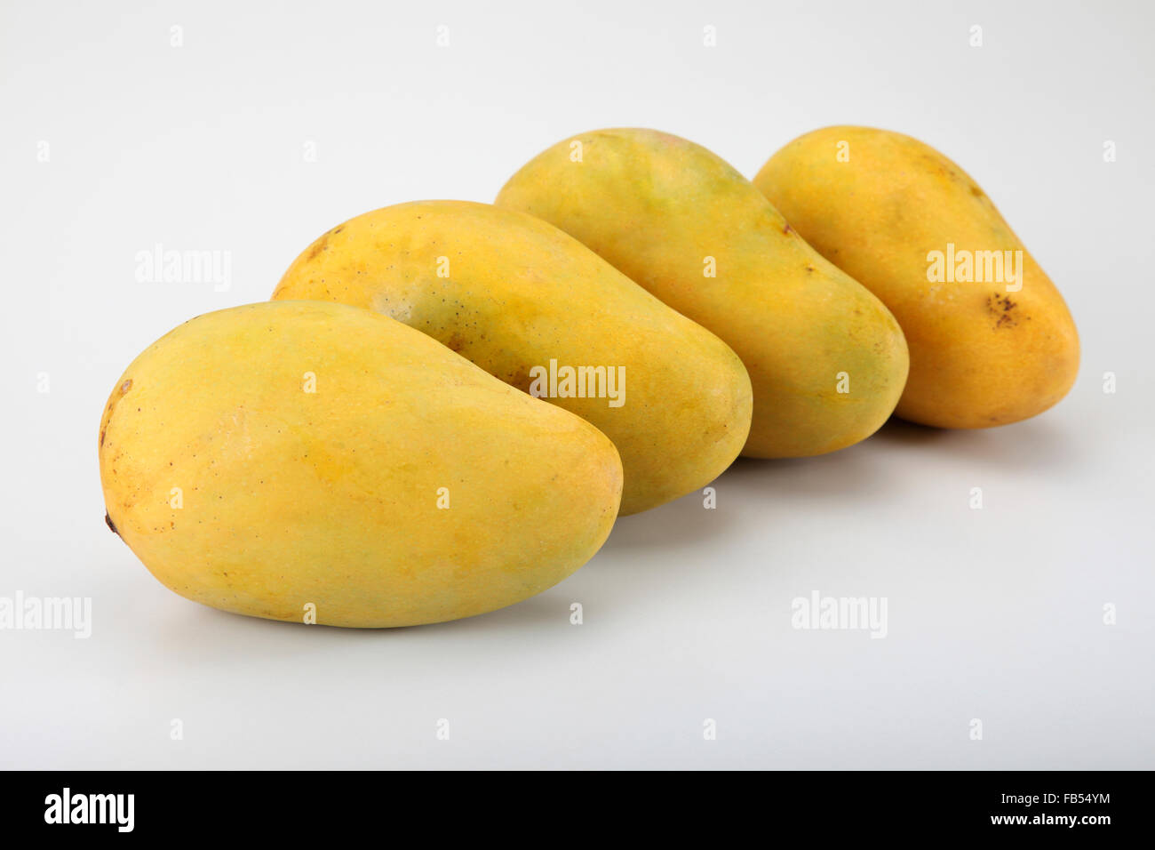 Plain backgrond hi-res stock photography and images - Alamy