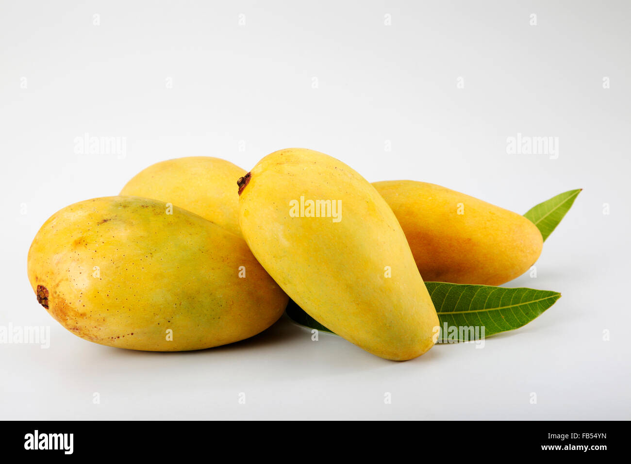 Plain backgrond hi-res stock photography and images - Alamy