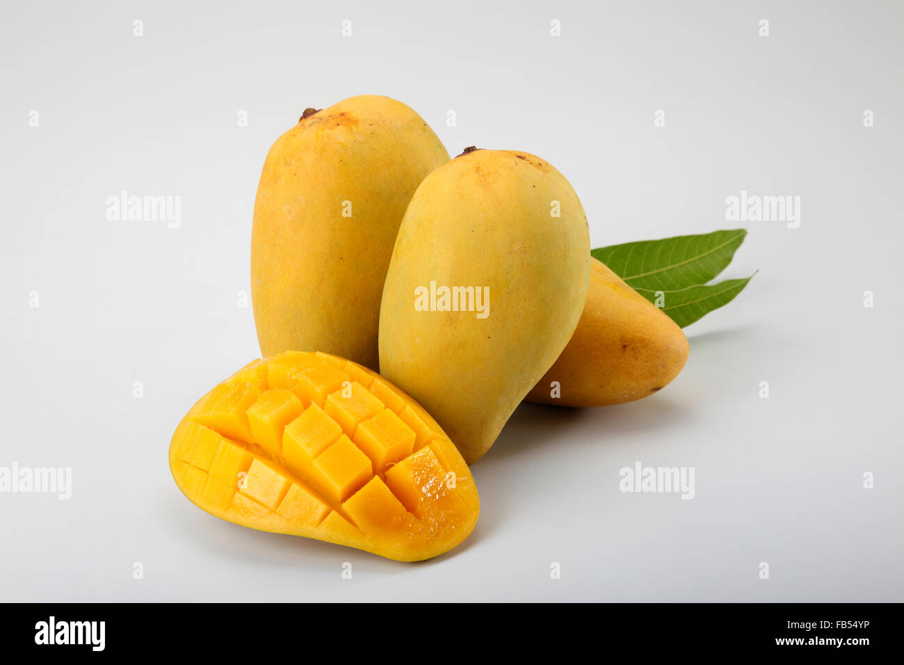 Plain backgrond hi-res stock photography and images - Alamy