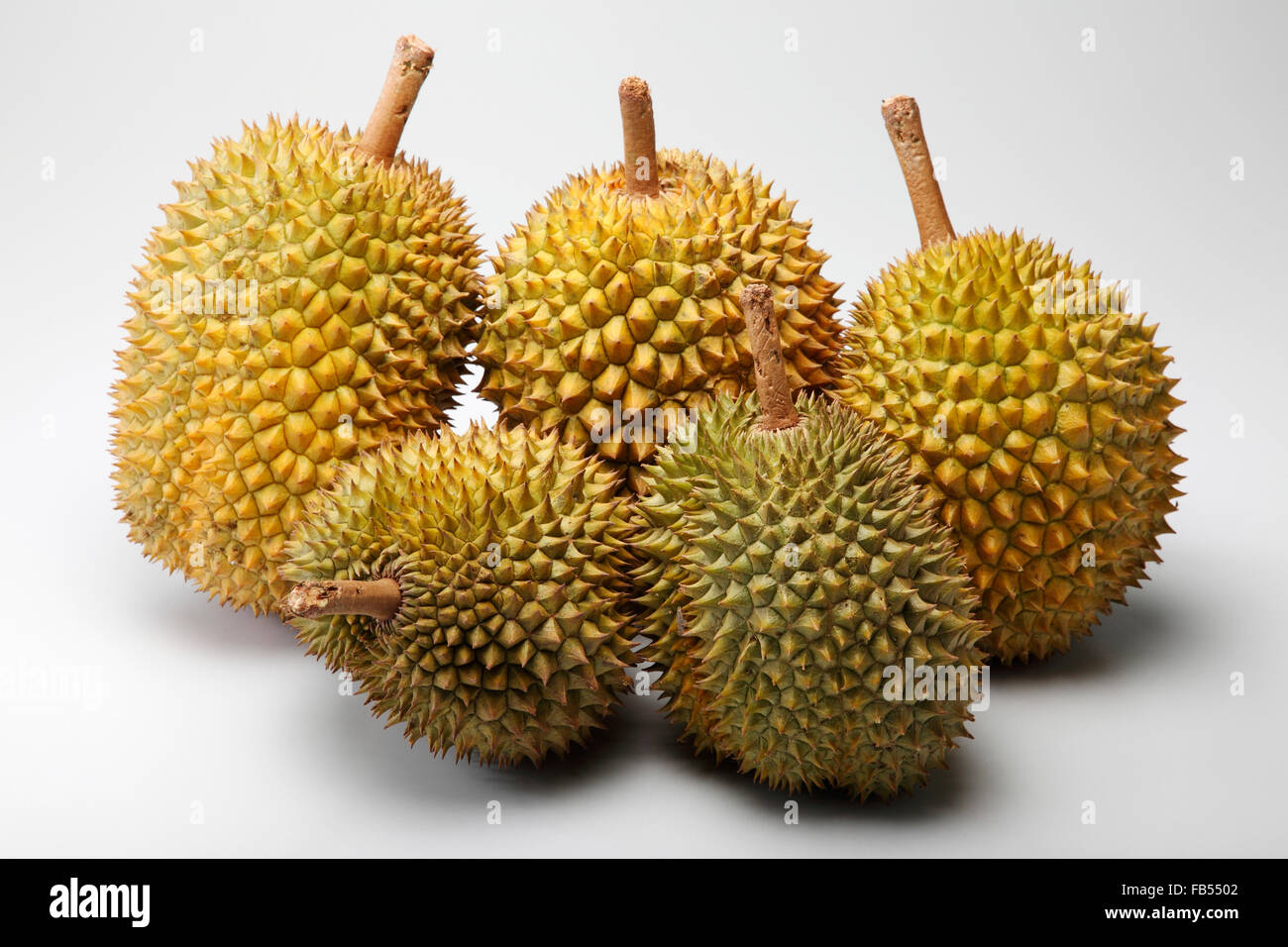 group of durian on the plain background Stock Photo - Alamy