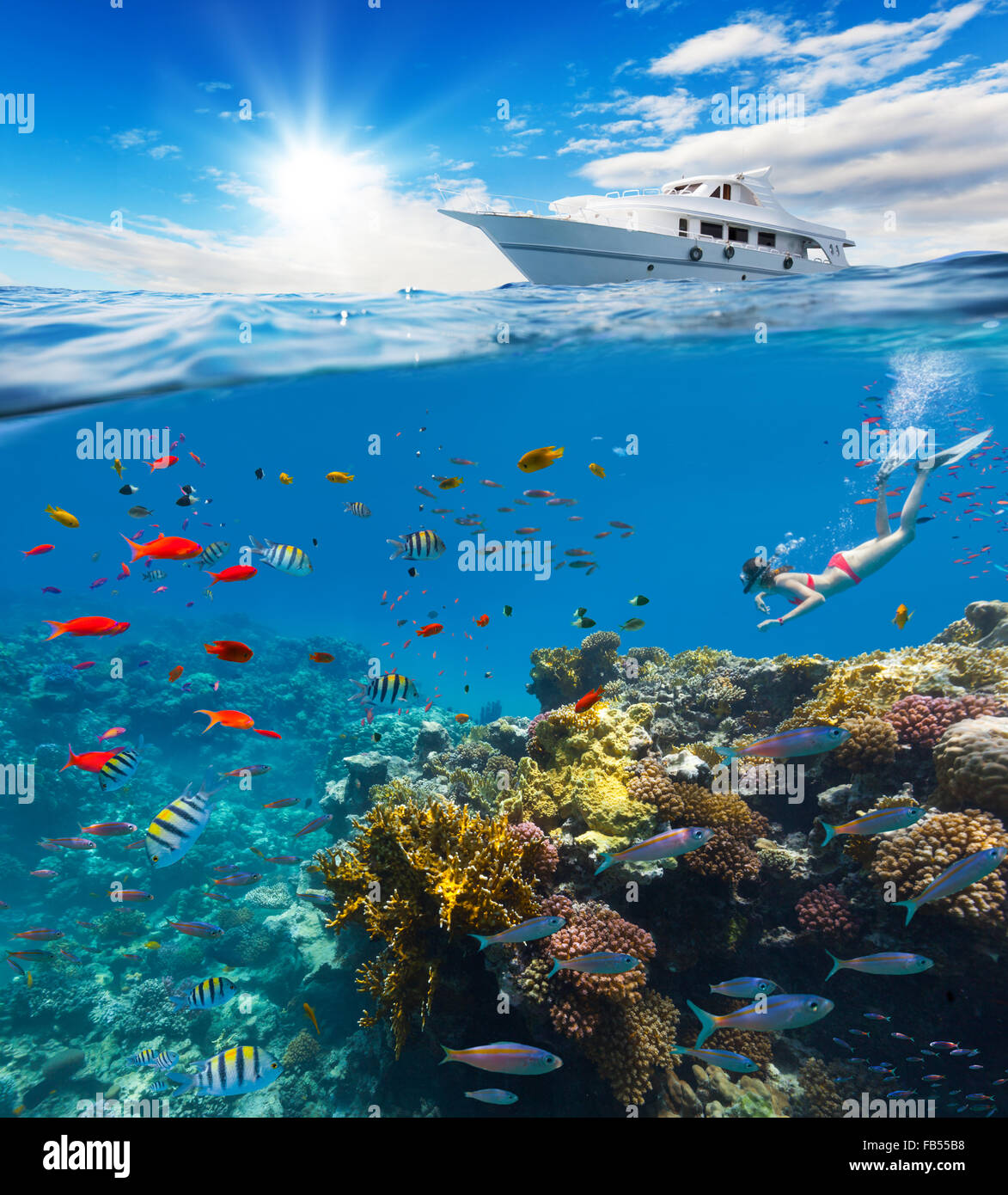 Female freediver floating at coral reef Stock Photo - Alamy