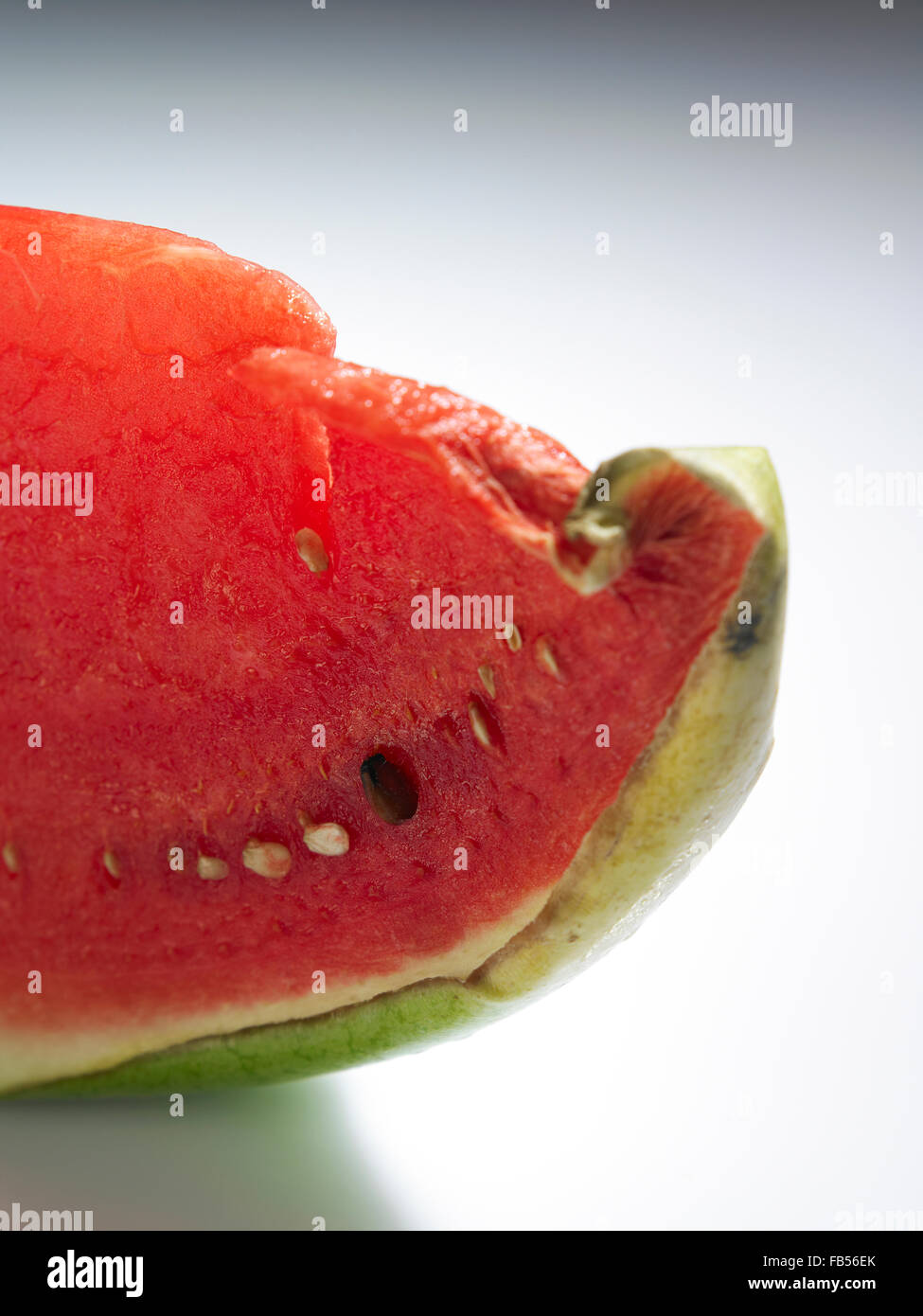 rotten or spoil watermelon on plain background Stock Photo - Alamy