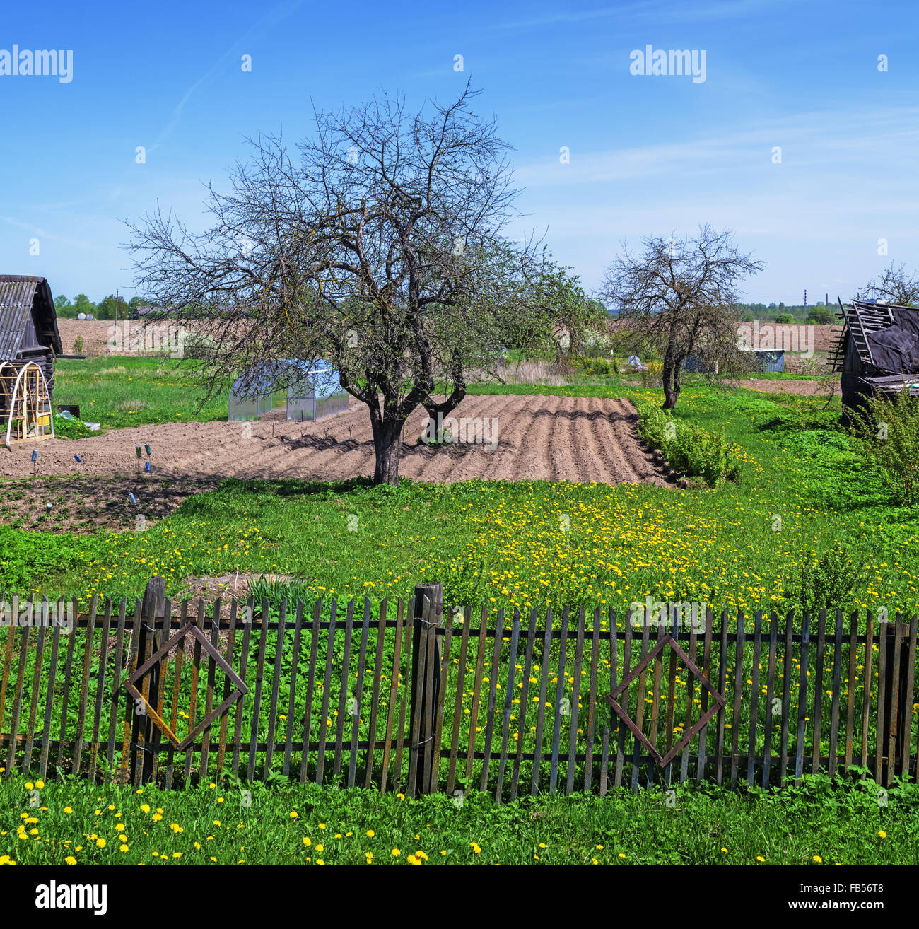 Spring village landscape. Garden Stock Photo - Alamy