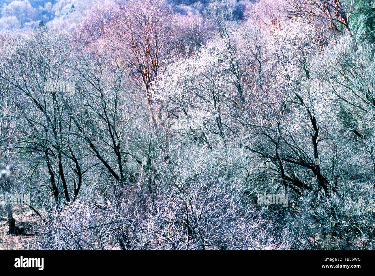 Qaidam Qinghai Province China Stock Photo - Alamy