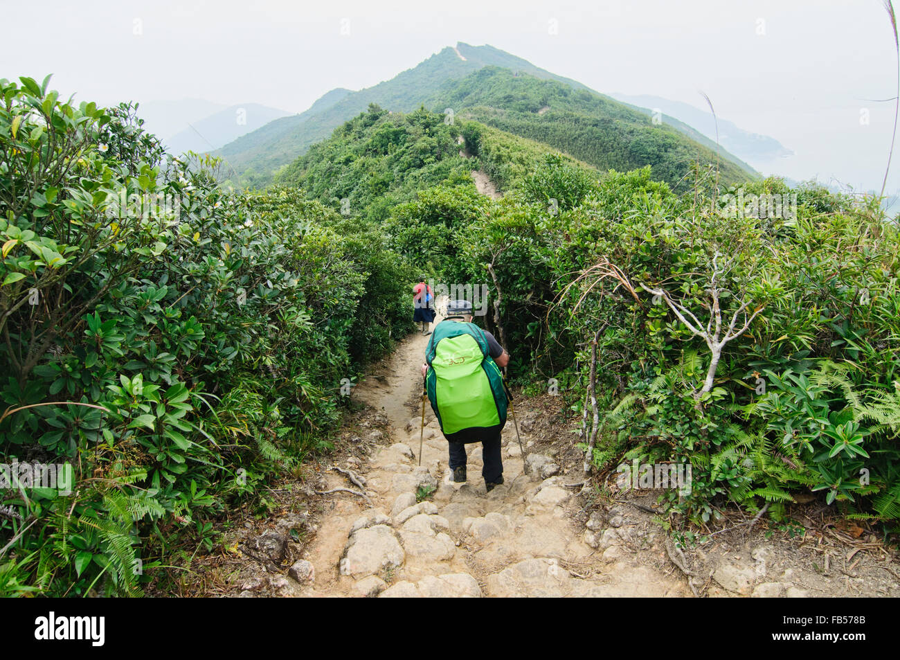 Dragons back trail hong kong hi-res stock photography and images - Alamy