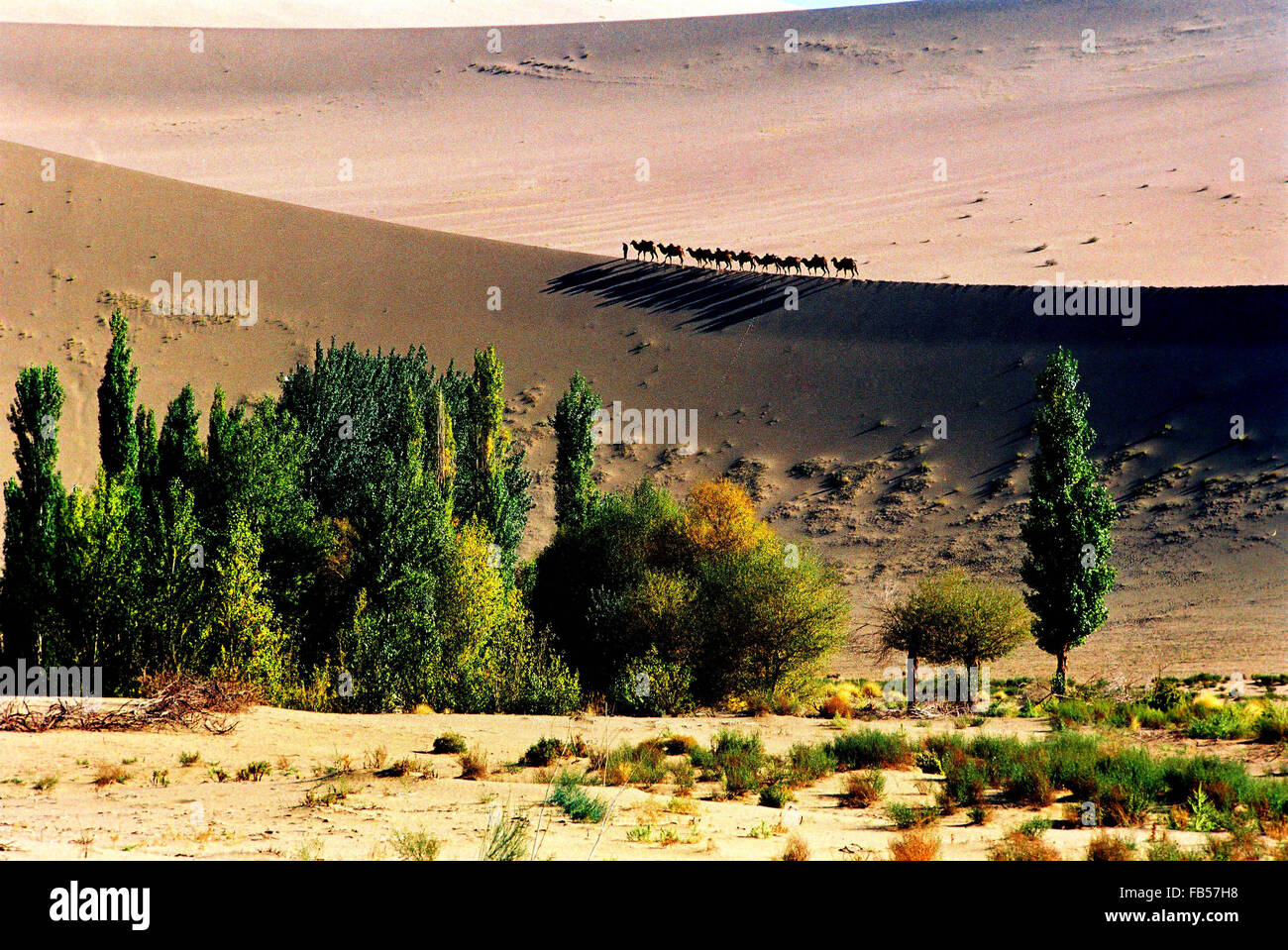 Qaidam Qinghai Province China Stock Photo - Alamy
