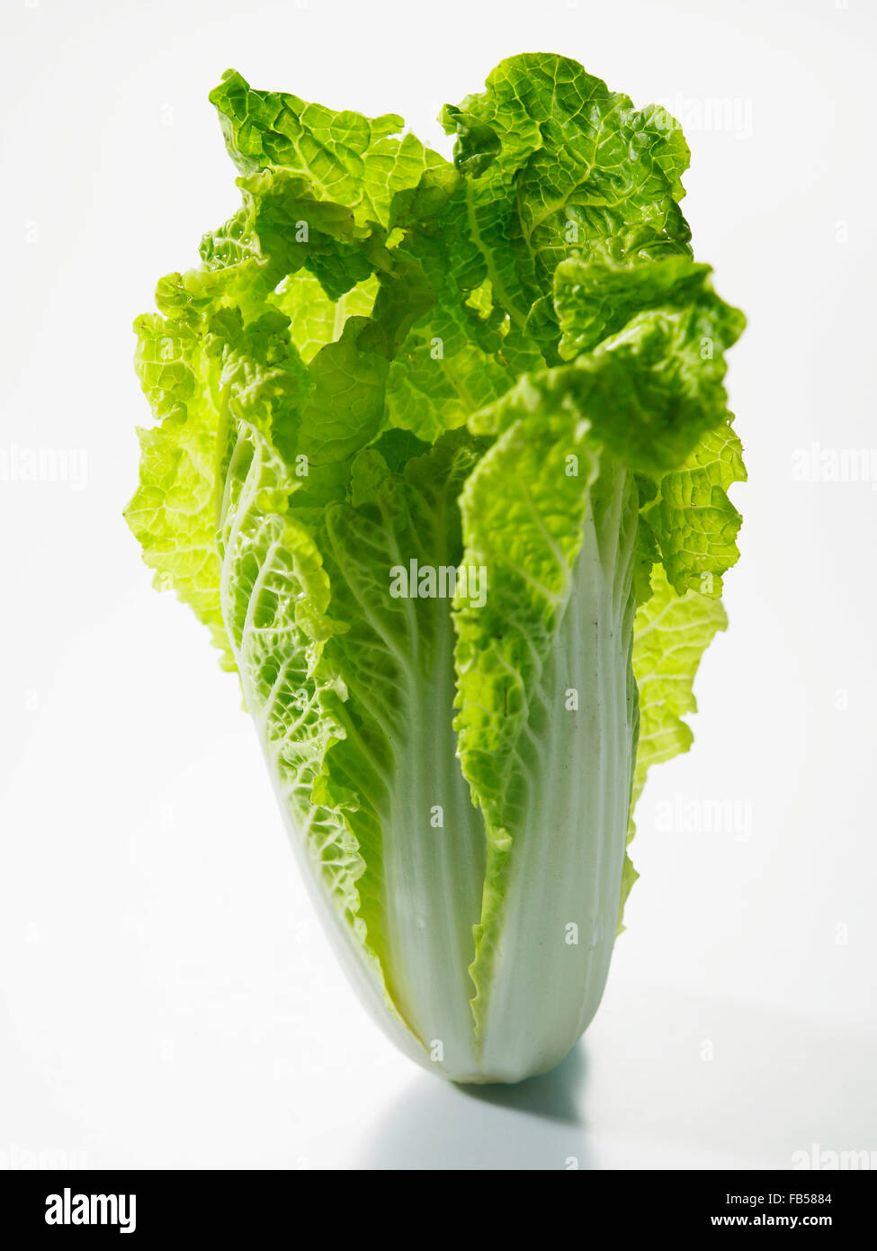 shot of vege on the white background Stock Photo - Alamy