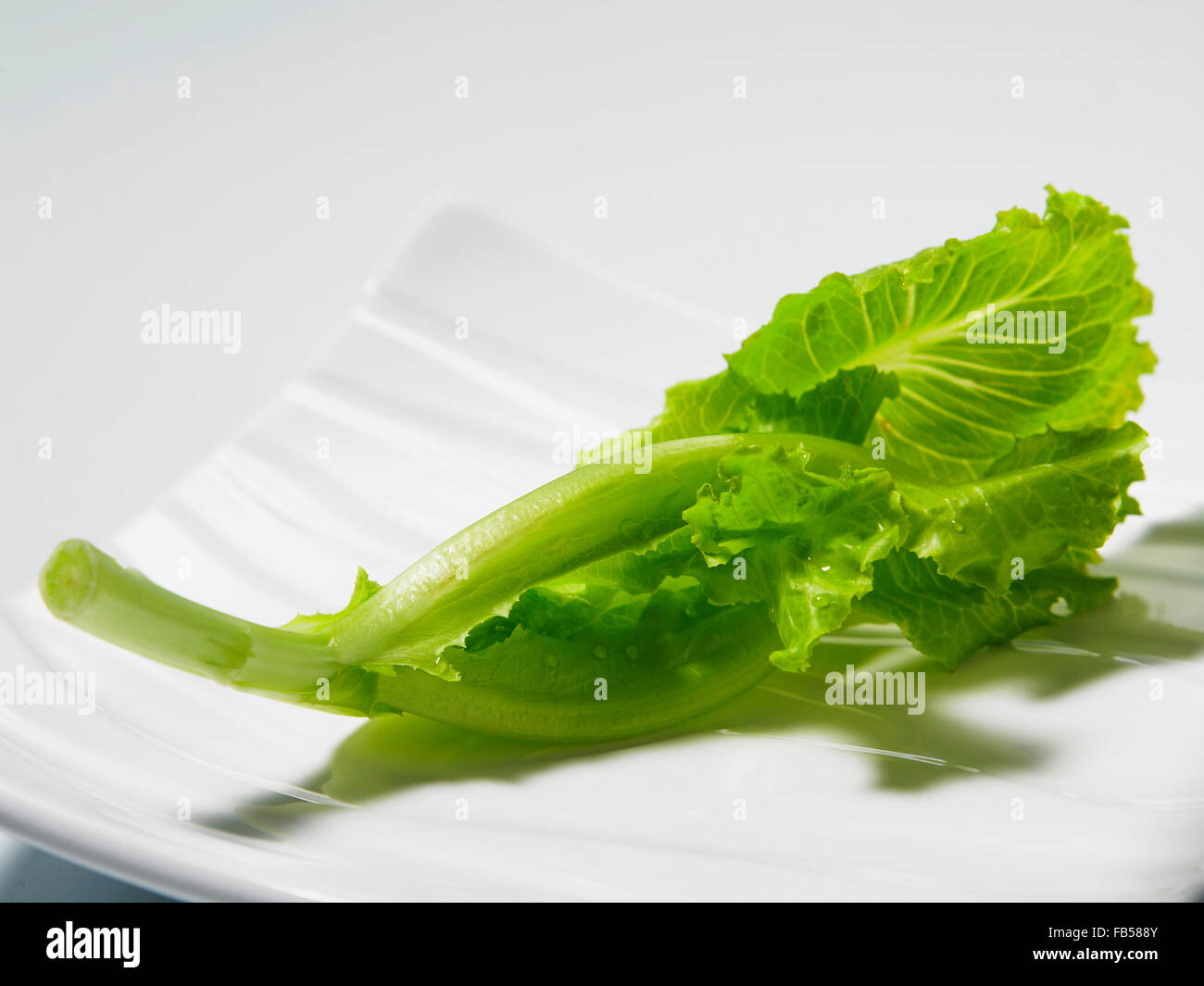 shot of vege on the white background Stock Photo - Alamy