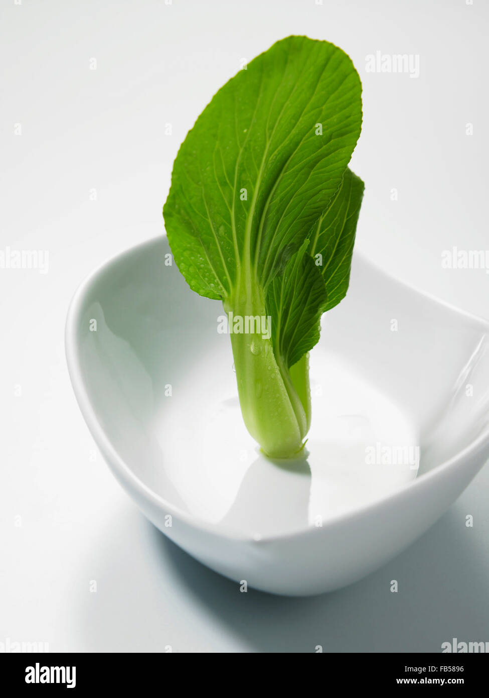 shot of vege on the white background Stock Photo - Alamy