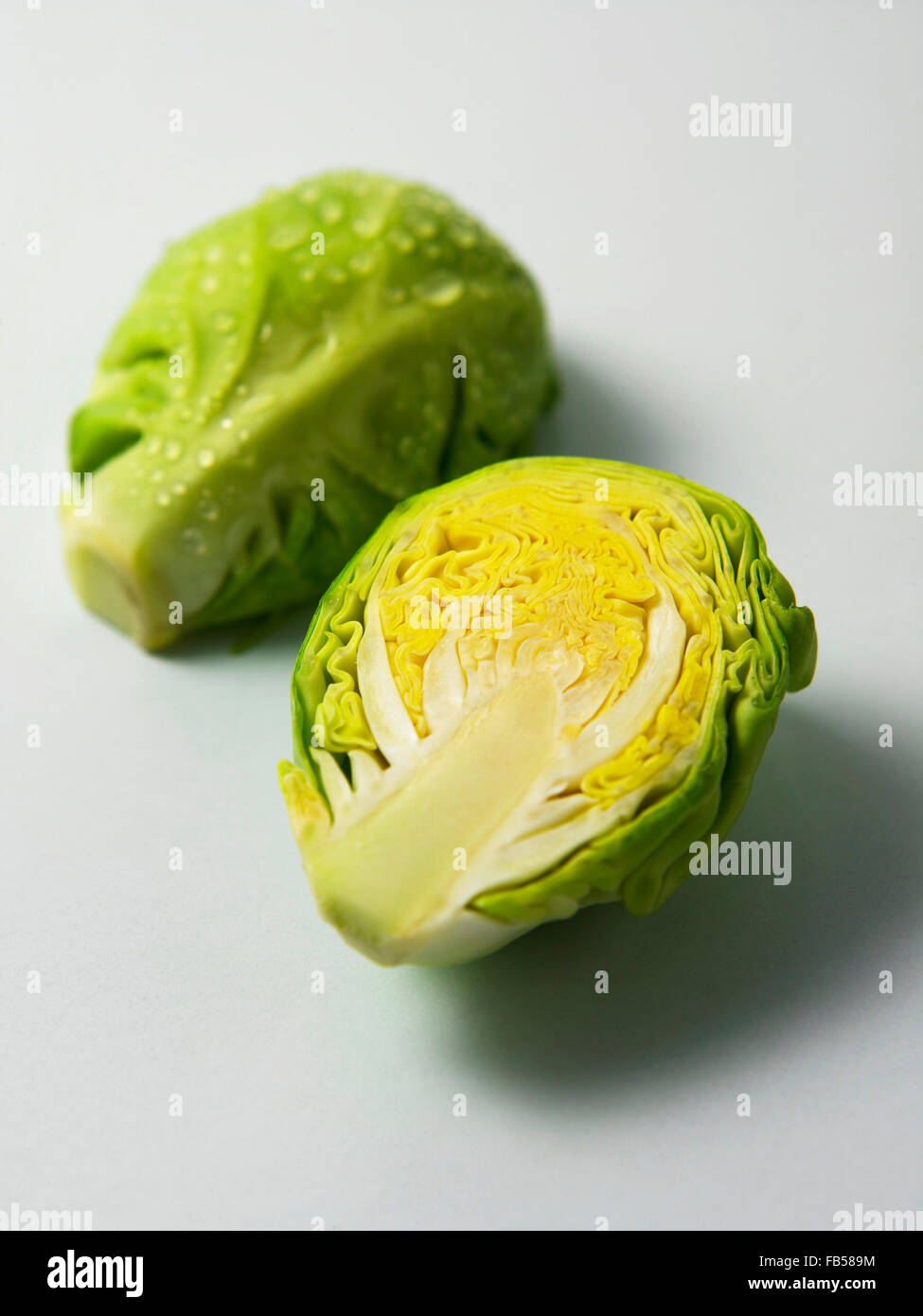 shot of baby cabbage on the white background Stock Photo - Alamy