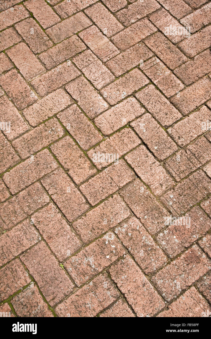 a close up of texture a walking path Stock Photo - Alamy