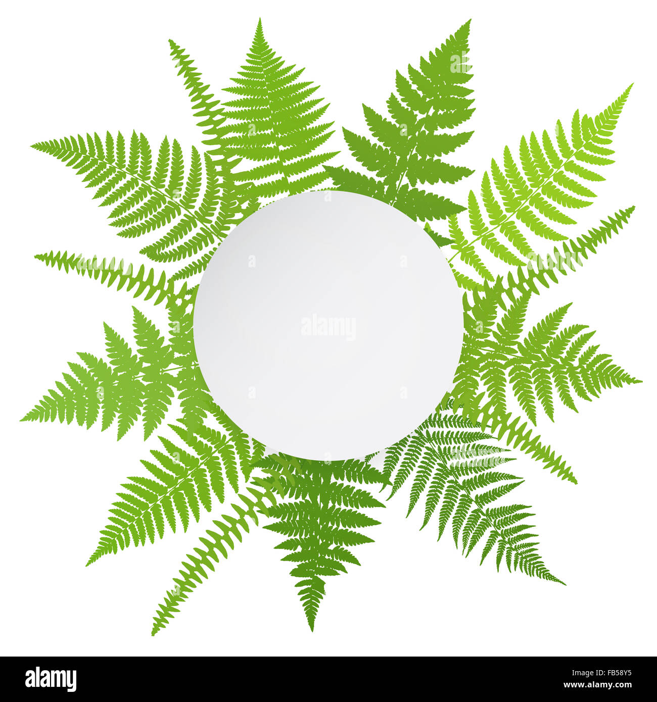Jungle poster. Fern frond background. Vector illustration Stock Photo ...