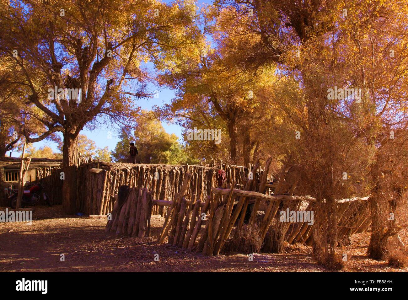 Yutian County Taklamakan Desert Xinjiang Autonomous Region China Stock ...