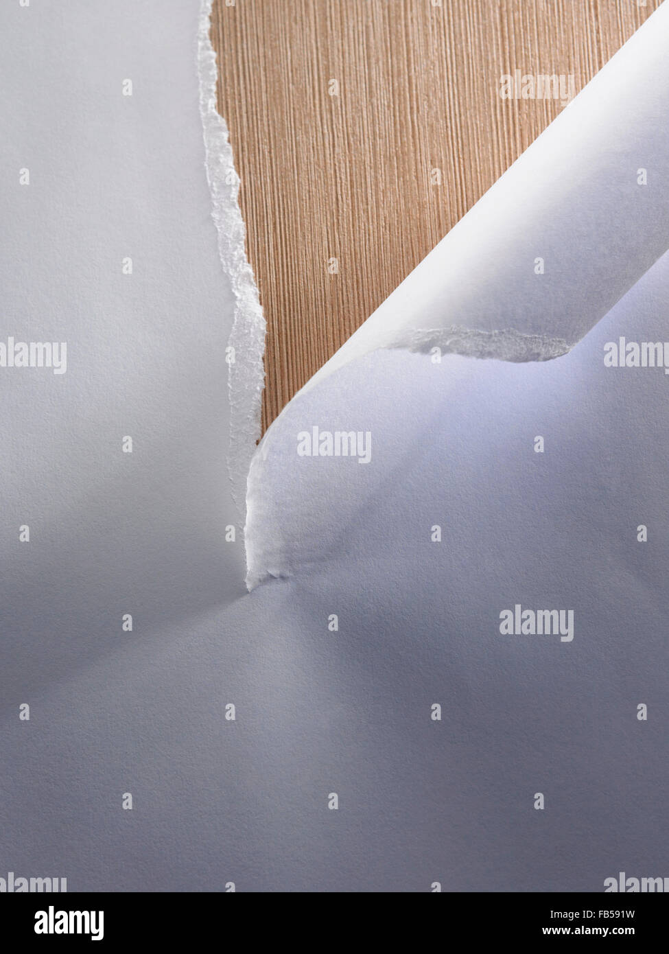close up of white paper tearing to half Stock Photo - Alamy