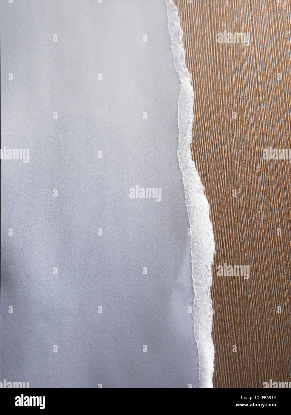 close up of white paper tearing to half Stock Photo - Alamy
