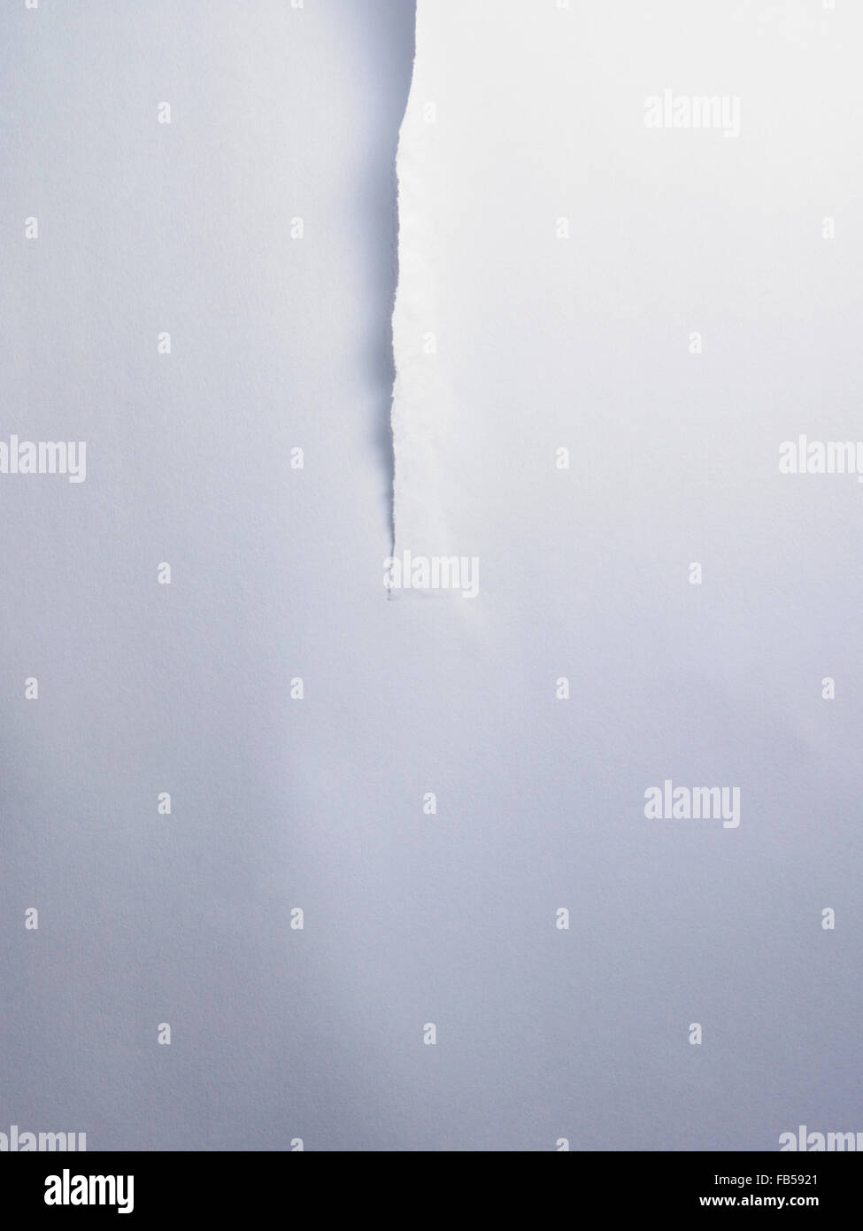 close up of white paper tearing to half Stock Photo - Alamy