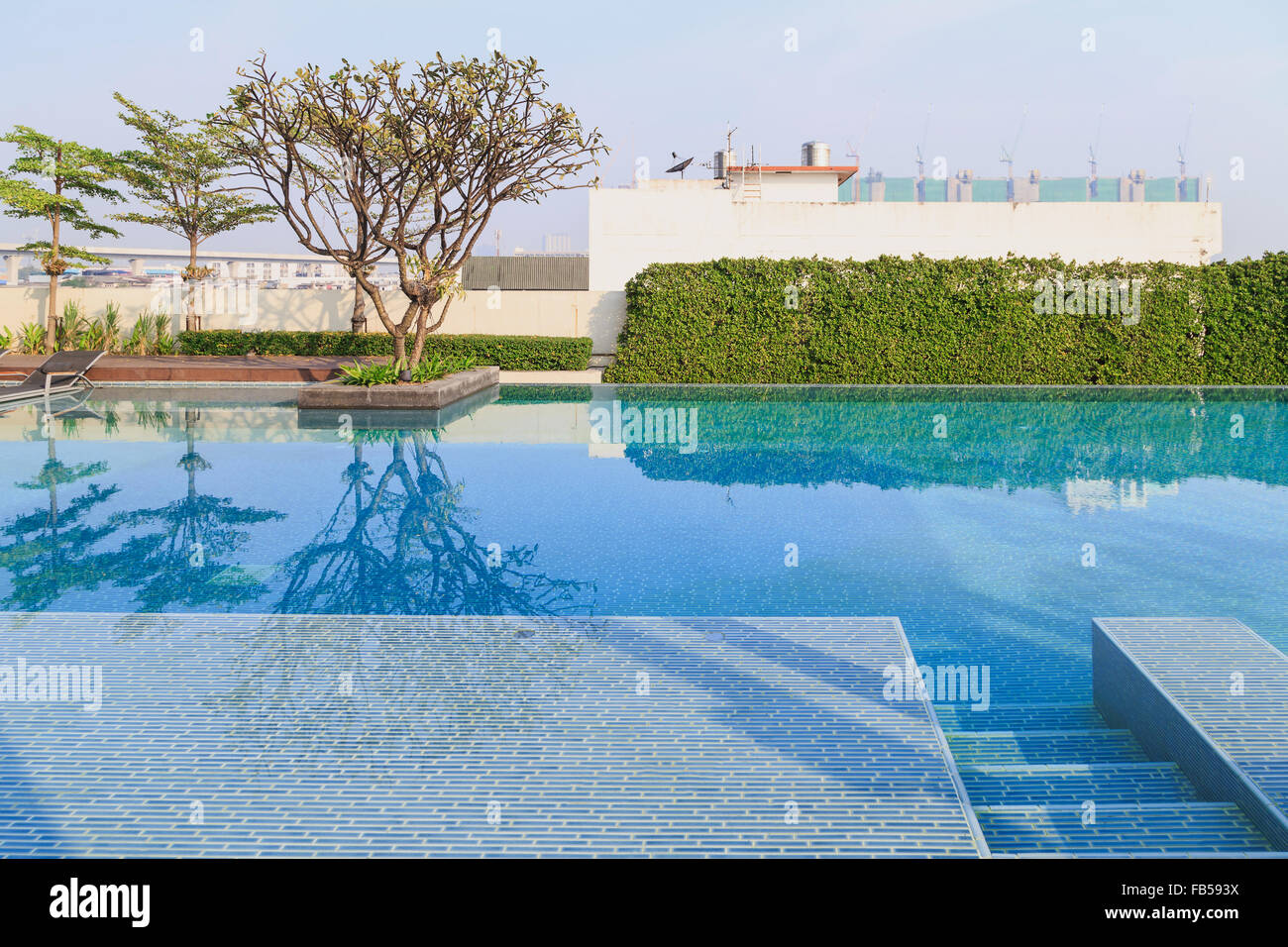 Swimming pool has small ladder beside and decorated by bush and small ...