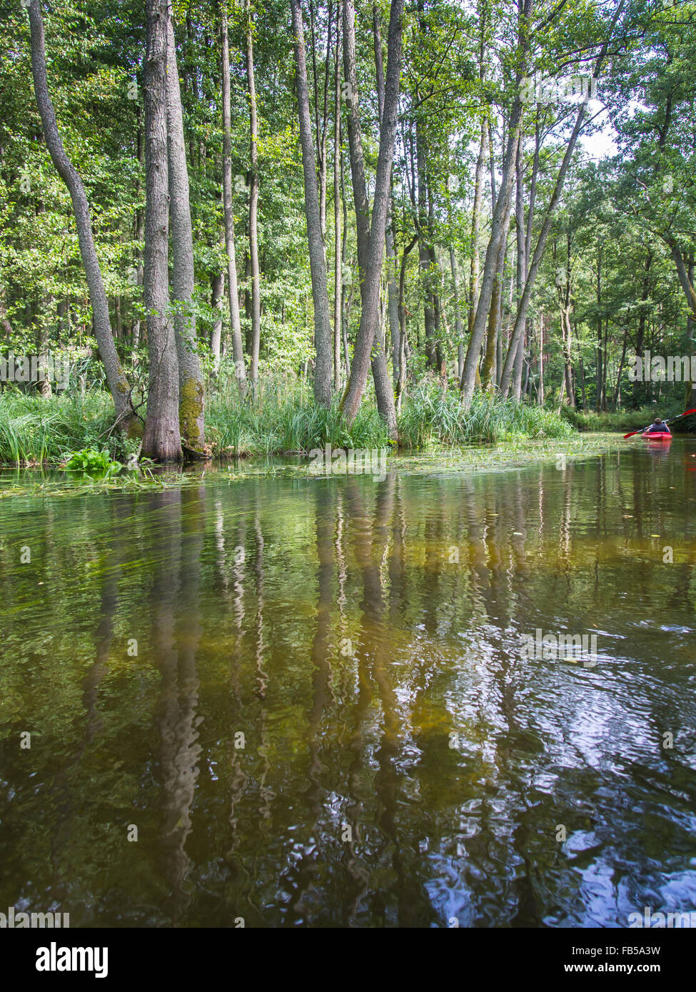 Slowly floating river water with reflection of trees Stock Photo - Alamy