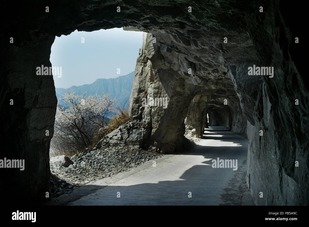 Tin yagou hi-res stock photography and images - Alamy