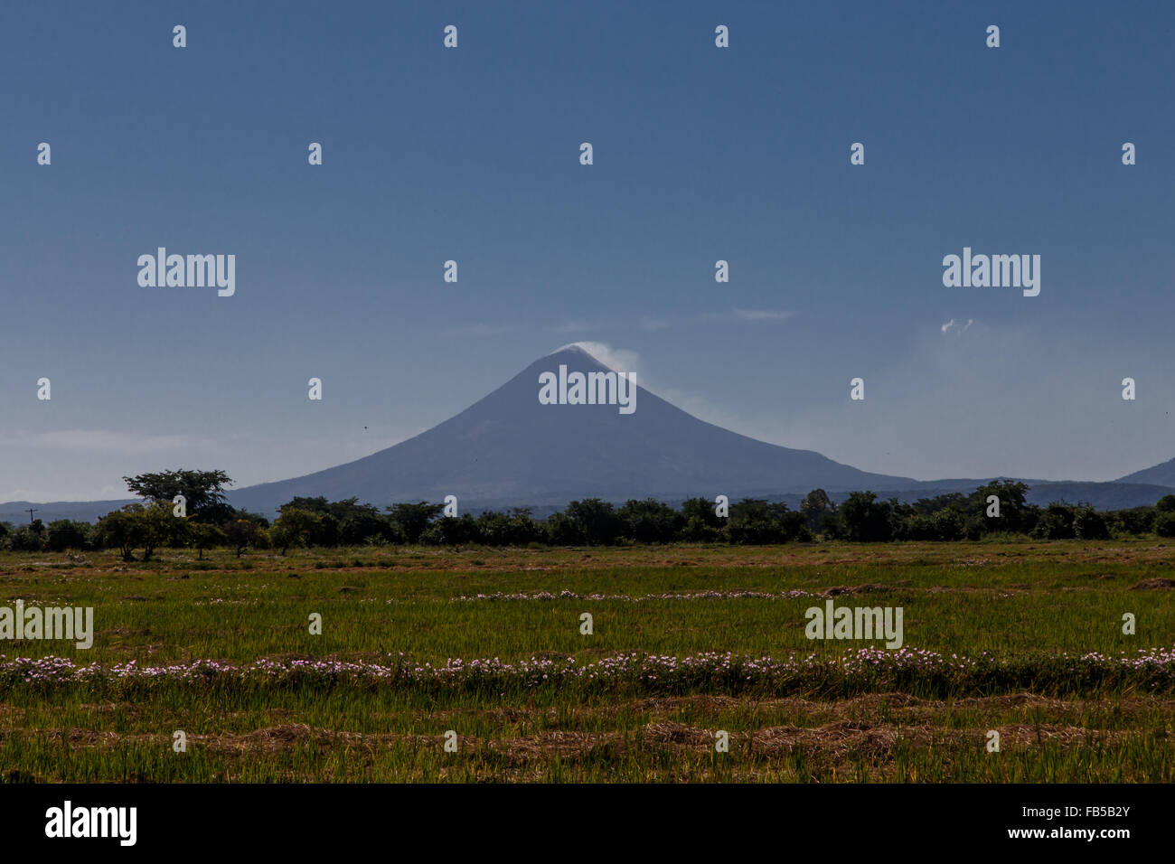 Momotombo volcano view with fields, Nicaragua Stock Photo - Alamy