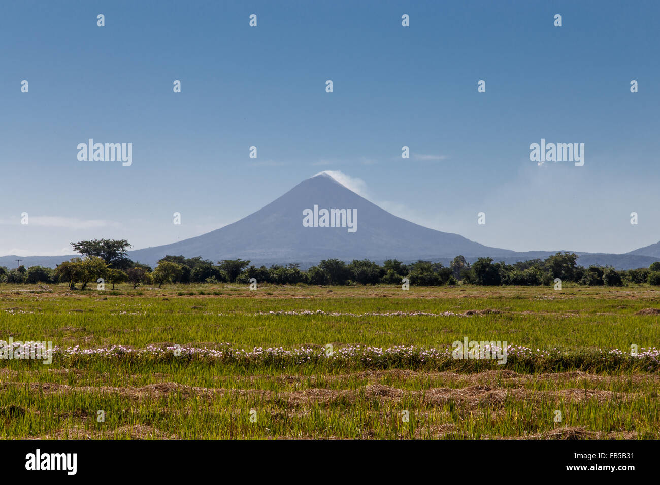 Momotombo volcano view with fields, Nicaragua Stock Photo - Alamy