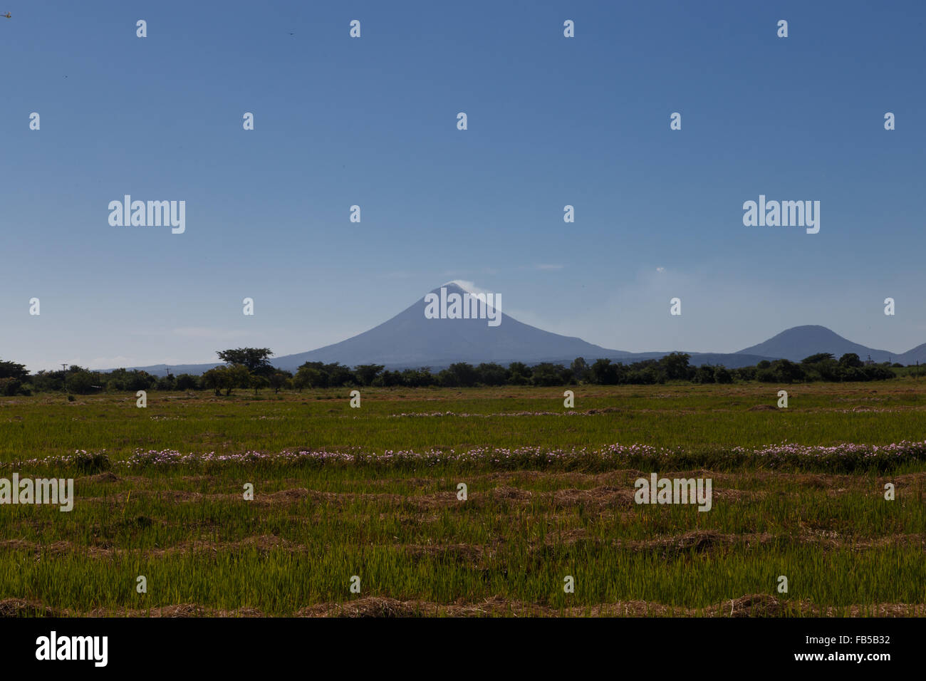 Momotombo volcano view with fields, Nicaragua Stock Photo - Alamy