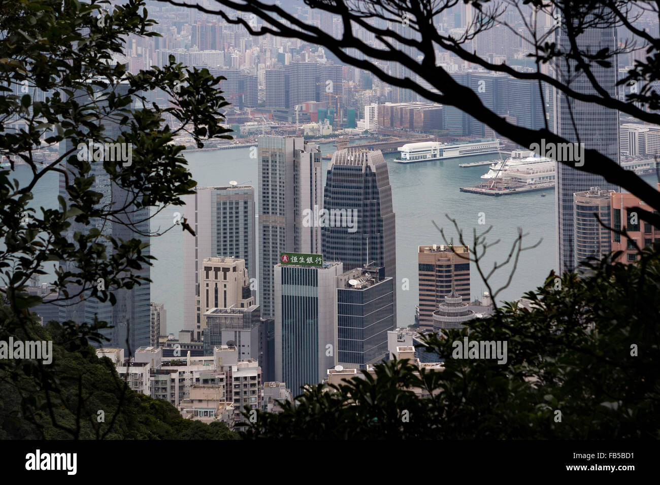 Hong Kong Skyscrapers, mid levels Stock Photo - Alamy