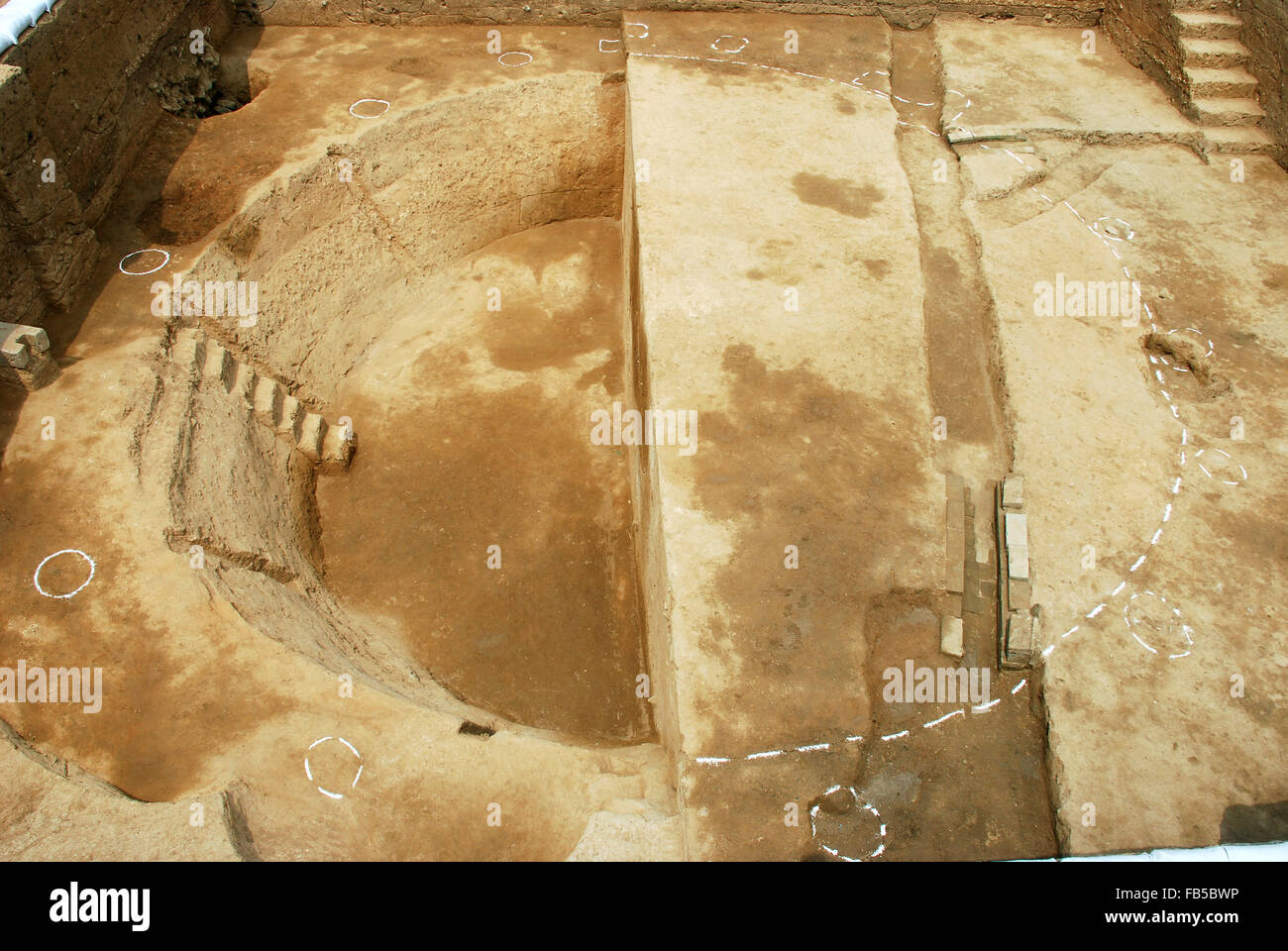 Hebi hi-res stock photography and images - Alamy