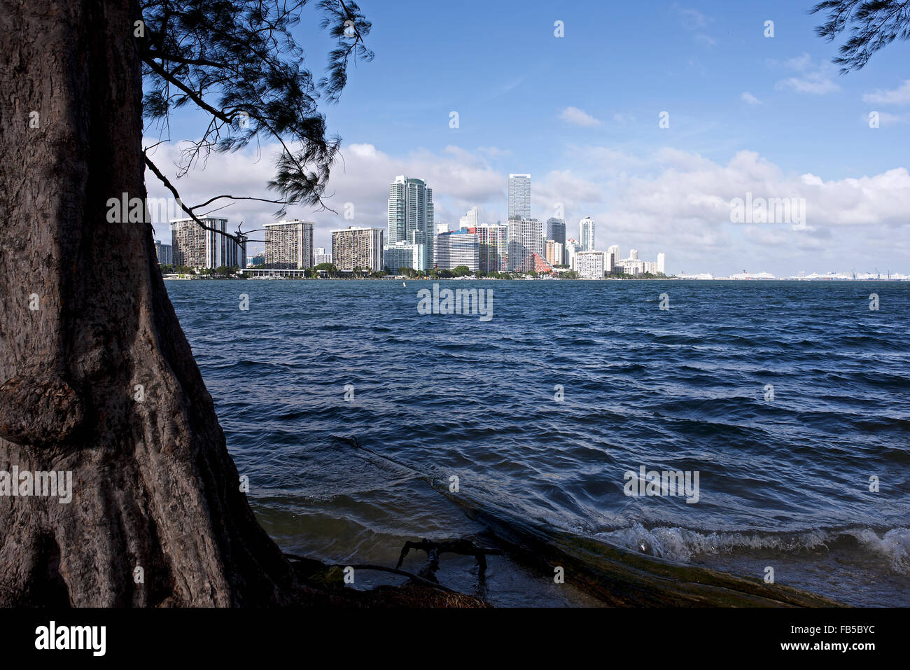 View Of Downtown Miami Skyline Across Biscayne Bay From Highway Stock ...