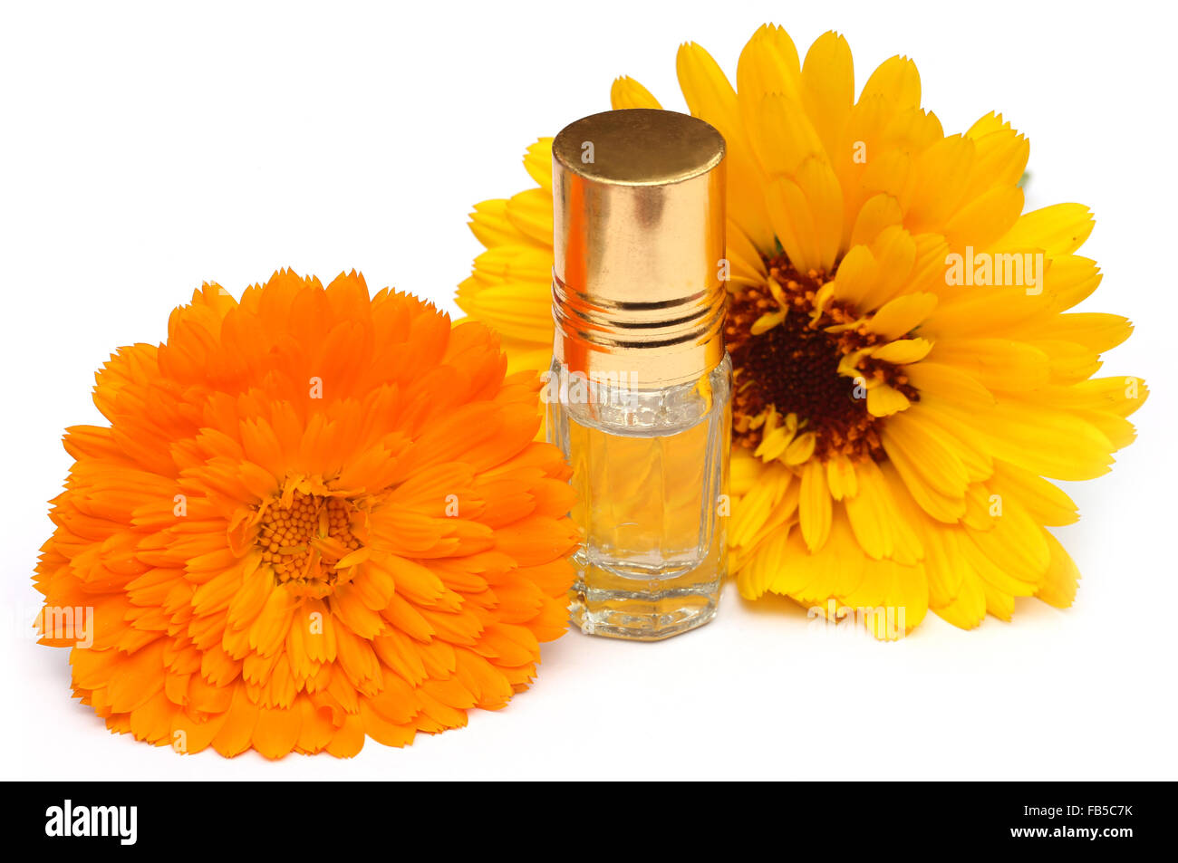 Closeup of calendula with scent bottle over white background Stock ...