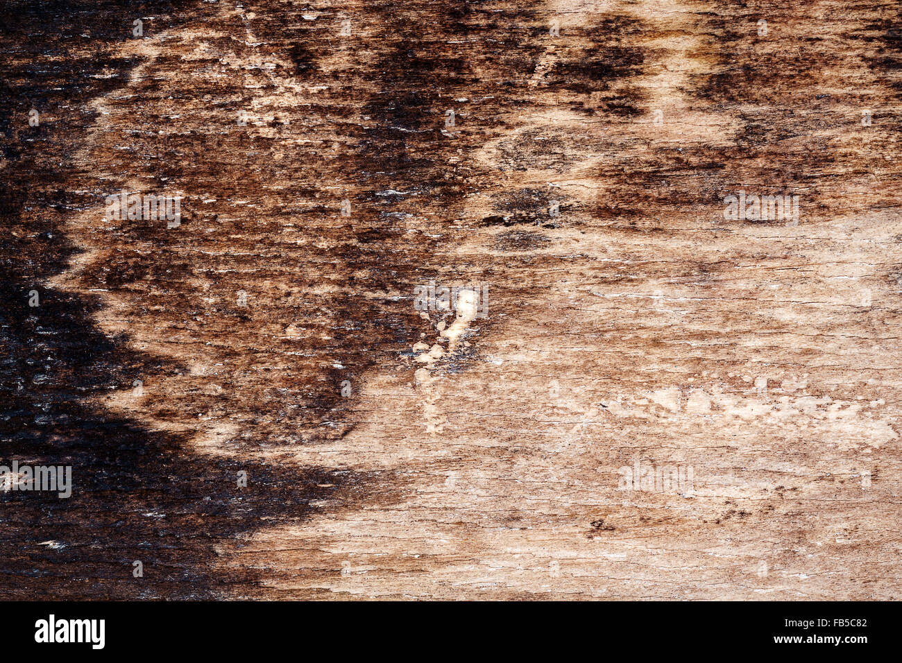 Wood mold vintage hi-res stock photography and images - Alamy