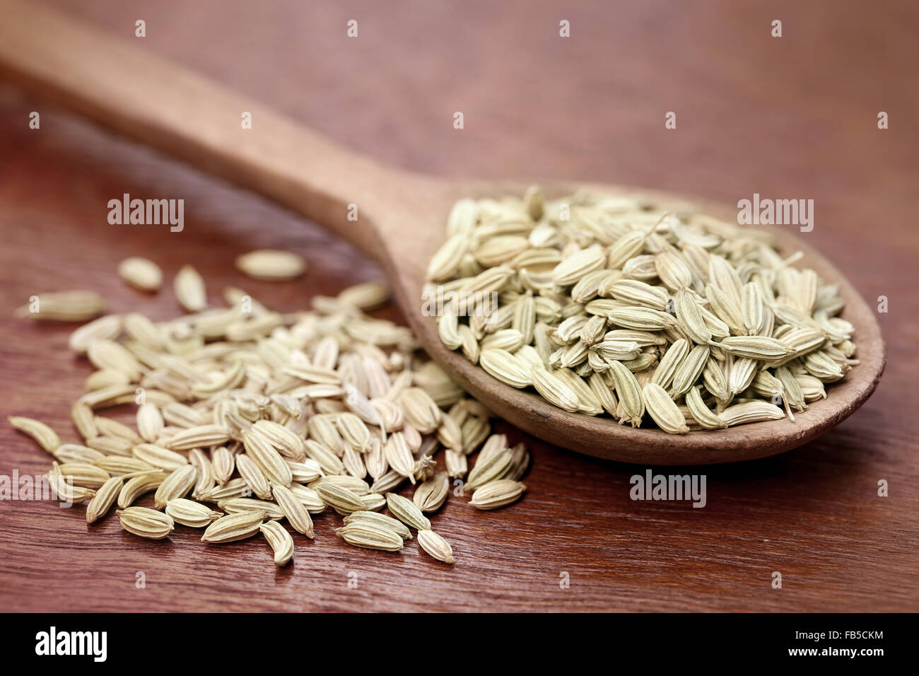 Fennel seeds in a wooden spoon over white background Stock Photo - Alamy
