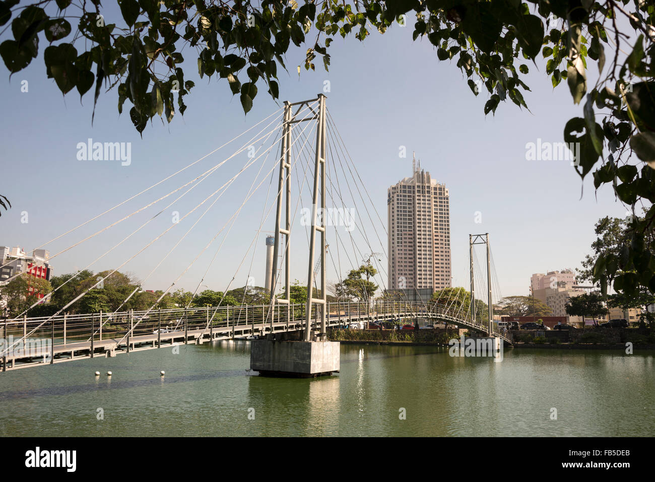 Cable Stayed Pedestrian Bridge High Resolution Stock Photography and ...