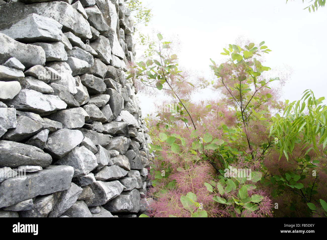 Nanyang City Henan Province China Stock Photo - Alamy