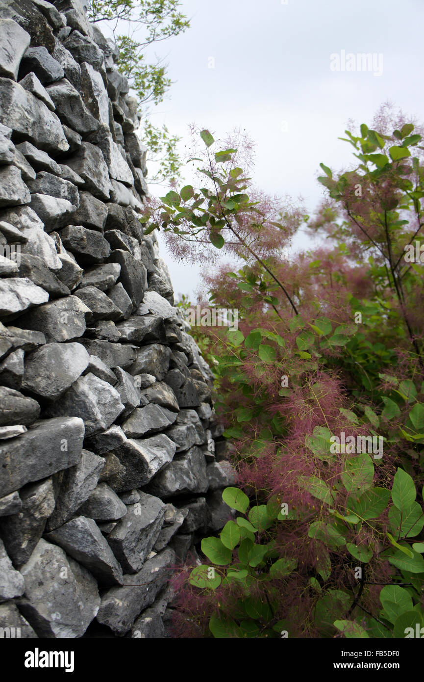 Nanyang City Henan Province China Stock Photo - Alamy