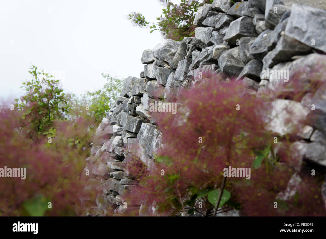 Nanyang City Henan Province China Stock Photo - Alamy