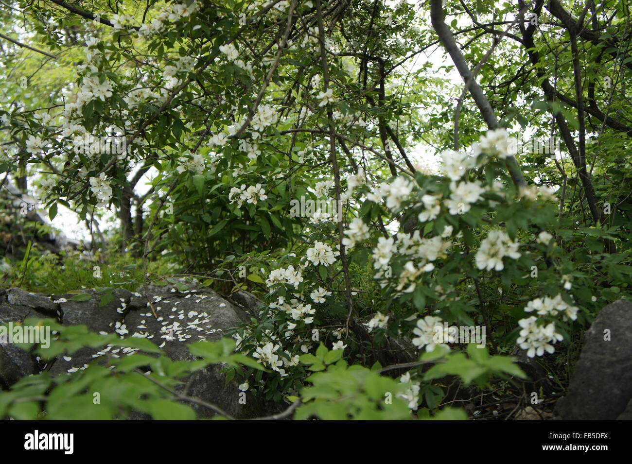 Nanyang City Henan Province China Stock Photo - Alamy
