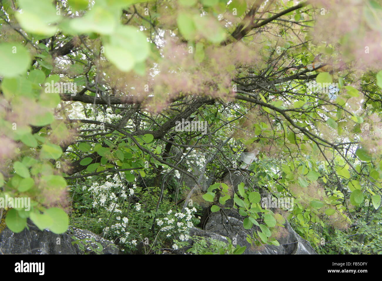 Nanyang City Henan Province China Stock Photo - Alamy