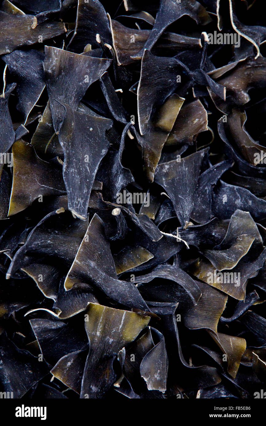 Kombu seaweed plant hi-res stock photography and images - Alamy