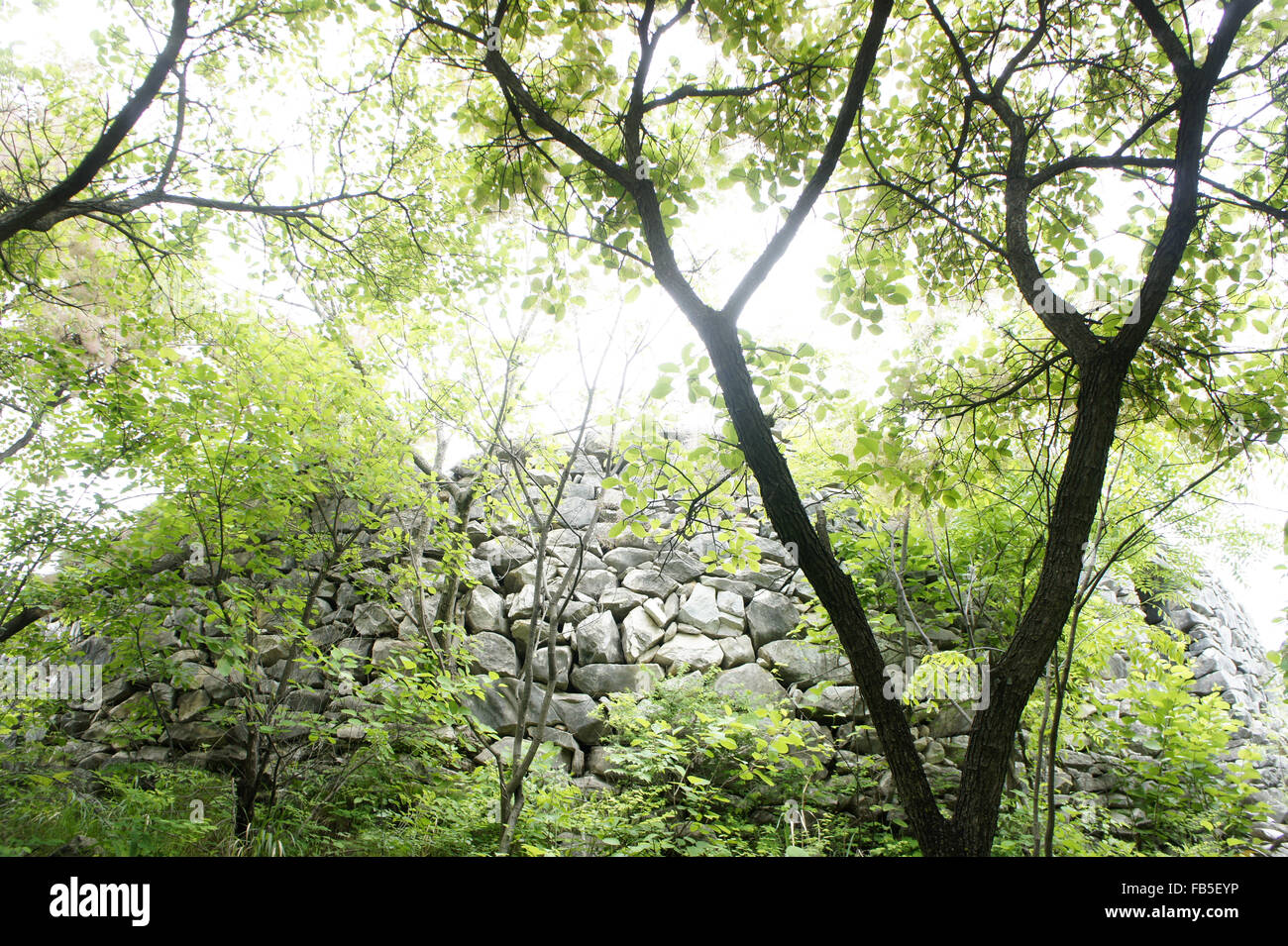 Nanyang City Henan Province China Stock Photo - Alamy