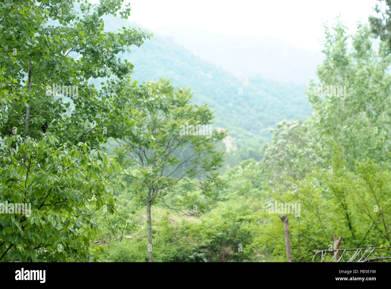 Nanyang City Henan Province China Stock Photo - Alamy