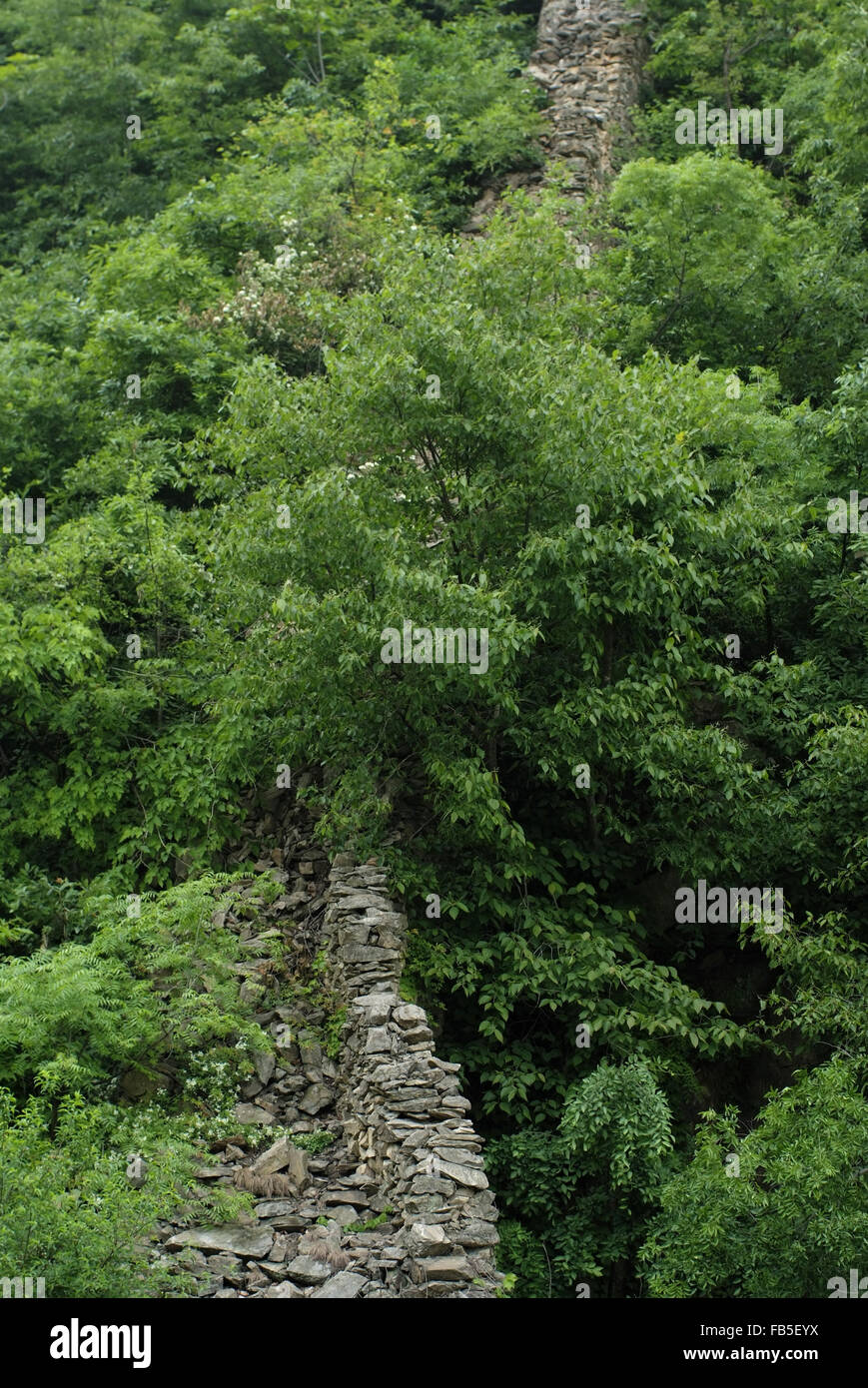 Nanyang City Henan Province China Stock Photo - Alamy